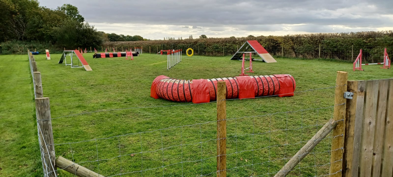 Welcome to Brimstage Agility – Train, Socialise and Have Fun